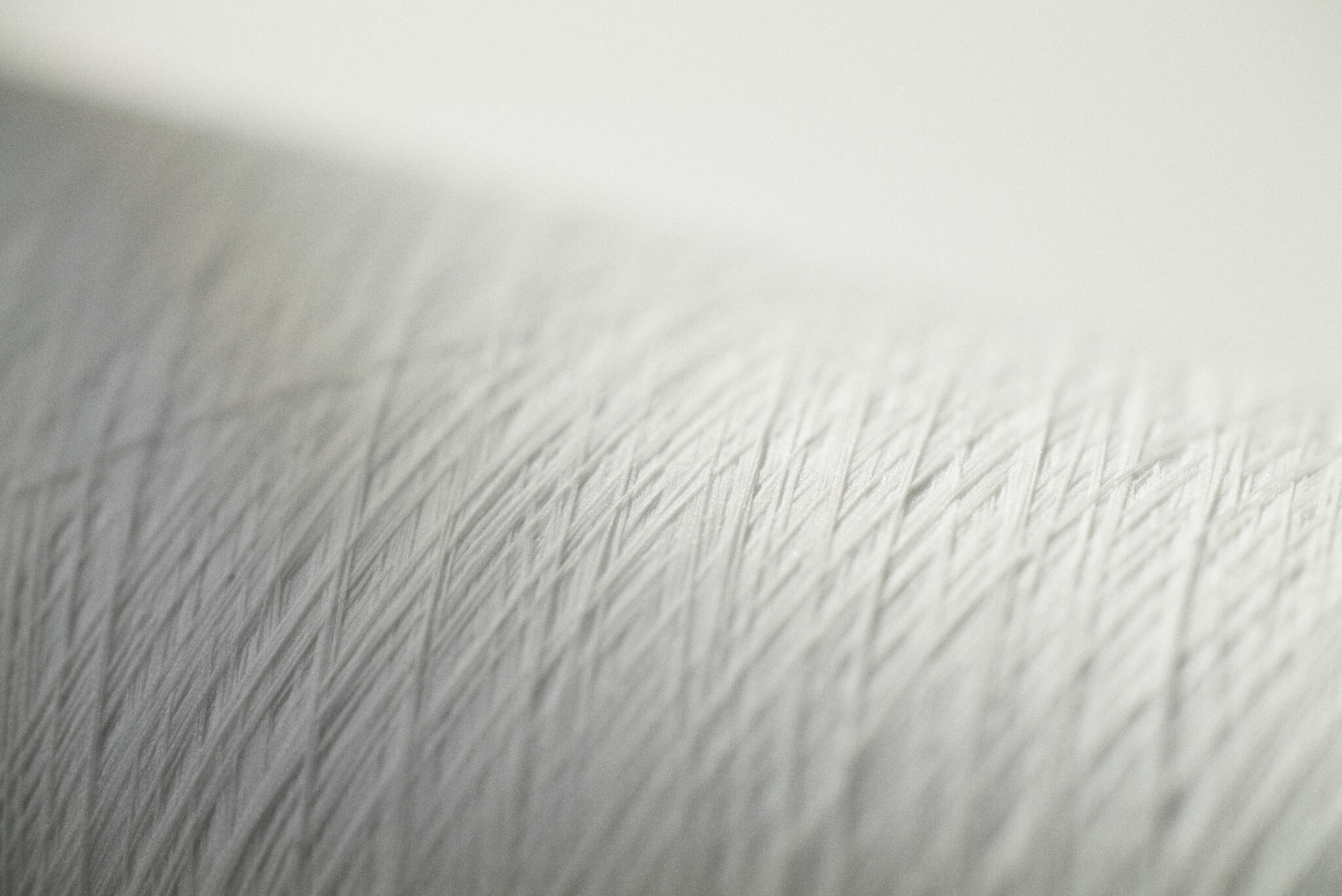 Fiber - 繊維 | Bioworks Corporation